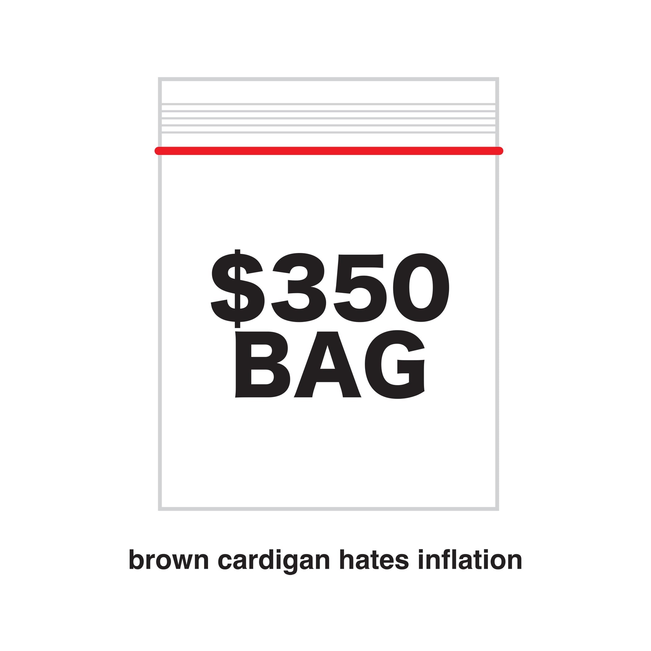 Inflation Bag– Shop by Brown Cardigan